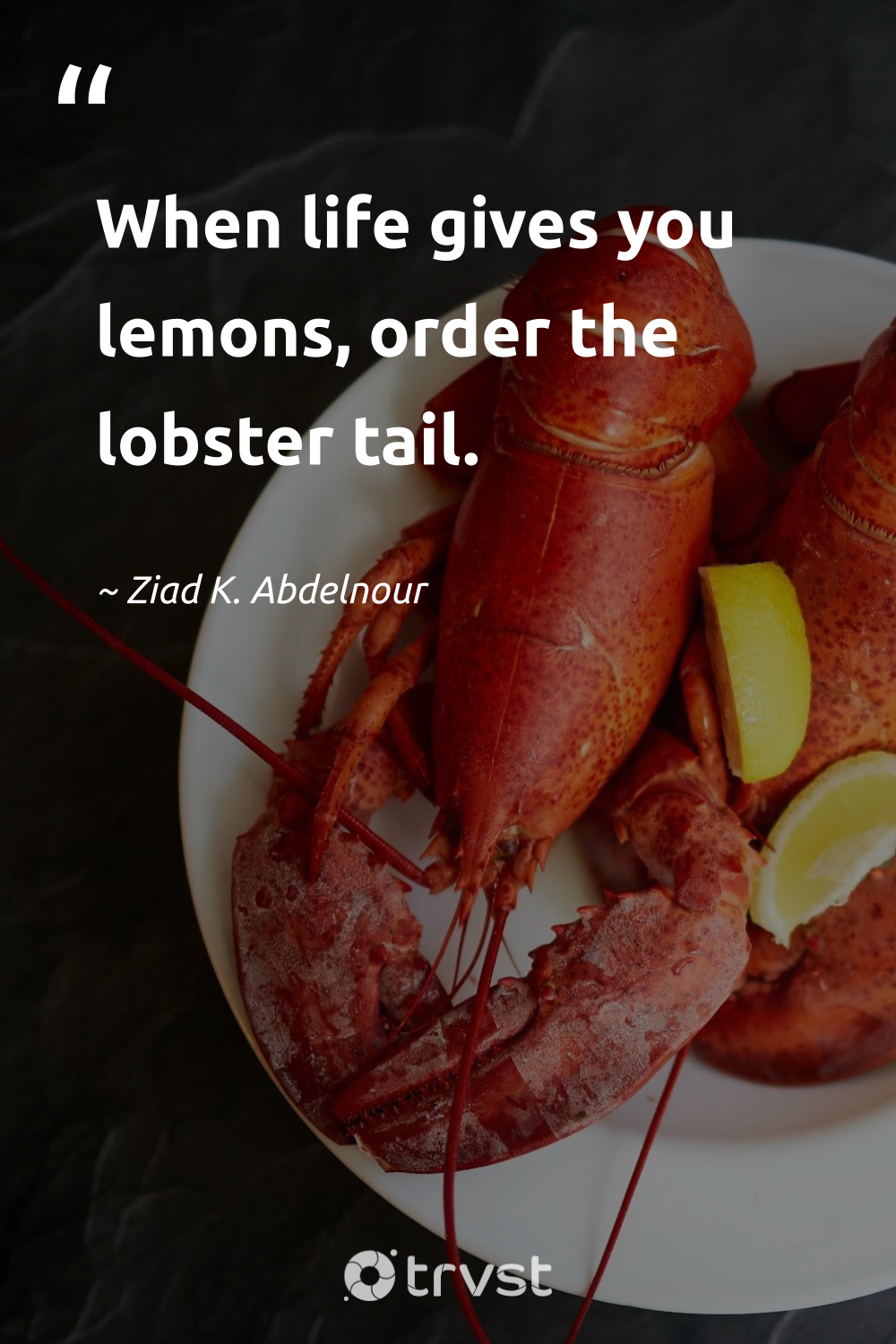 30 Lobster Quotes About The Famous Crustaceans