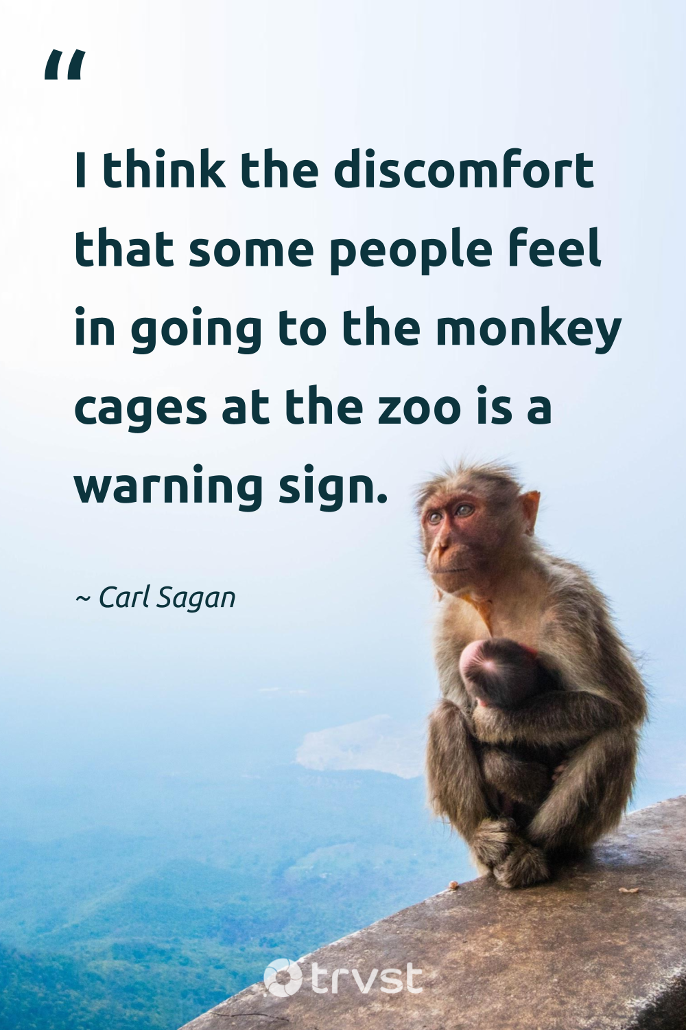 39 Monkey Quotes Full Of Primate Wisdom