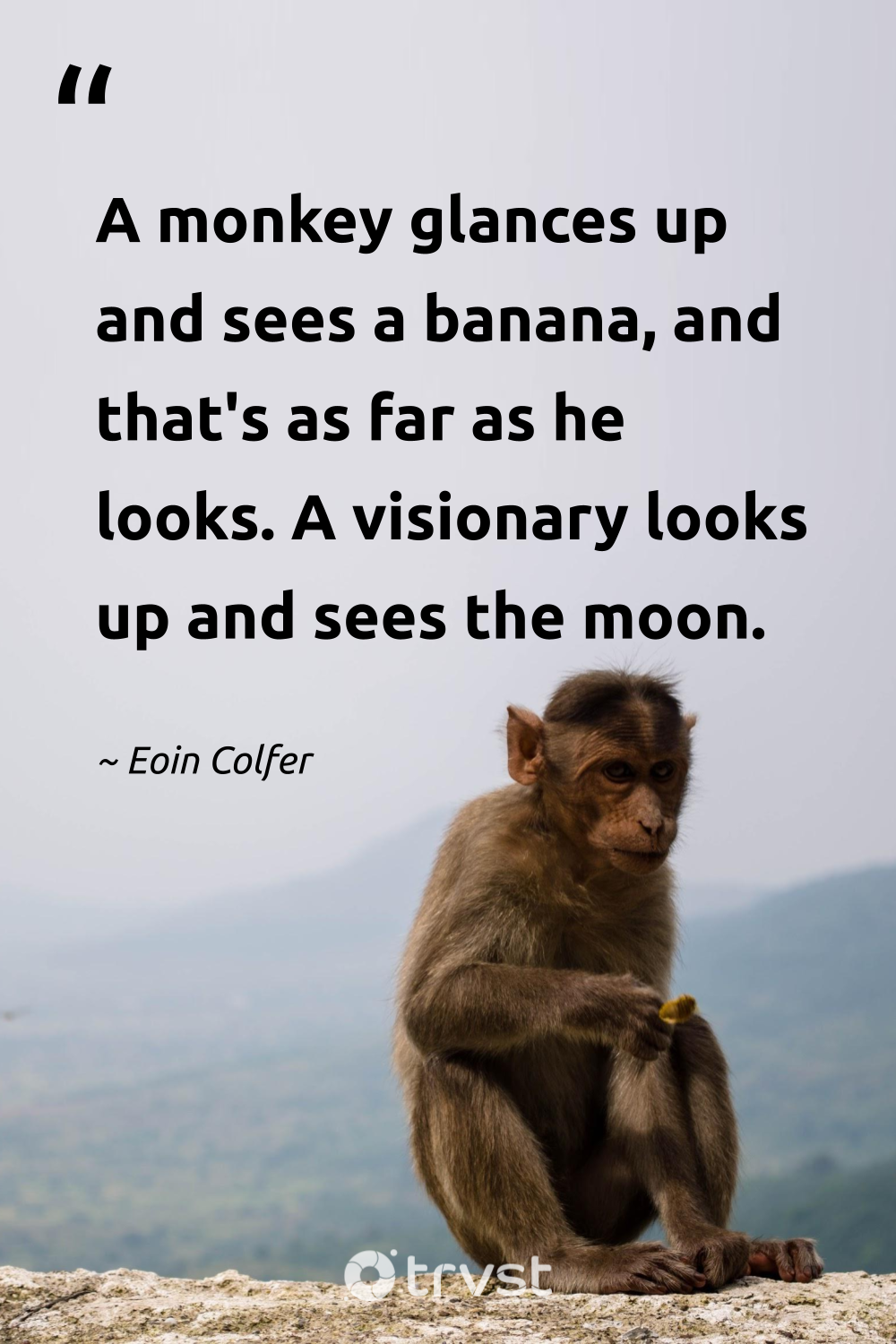 39 Monkey Quotes Full Of Primate Wisdom