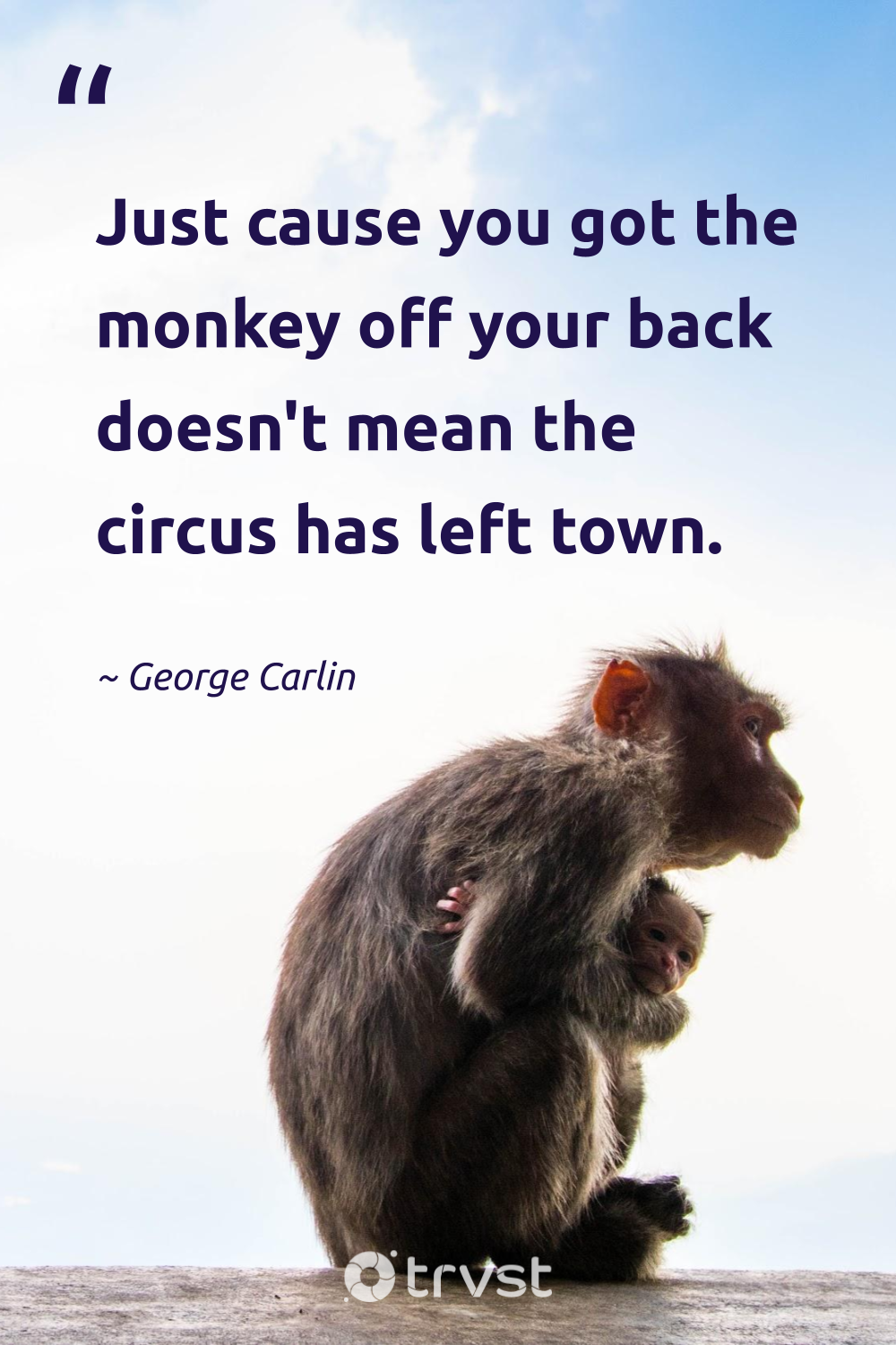 39 Monkey Quotes Full Of Primate Wisdom