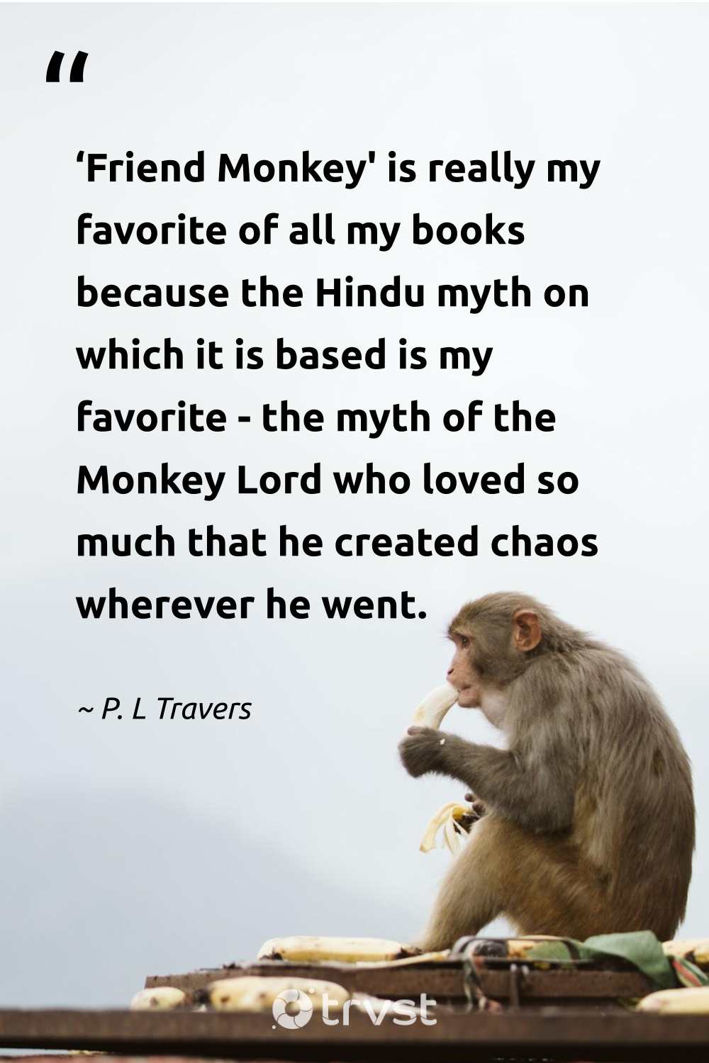 39 Monkey Quotes Full Of Primate Wisdom