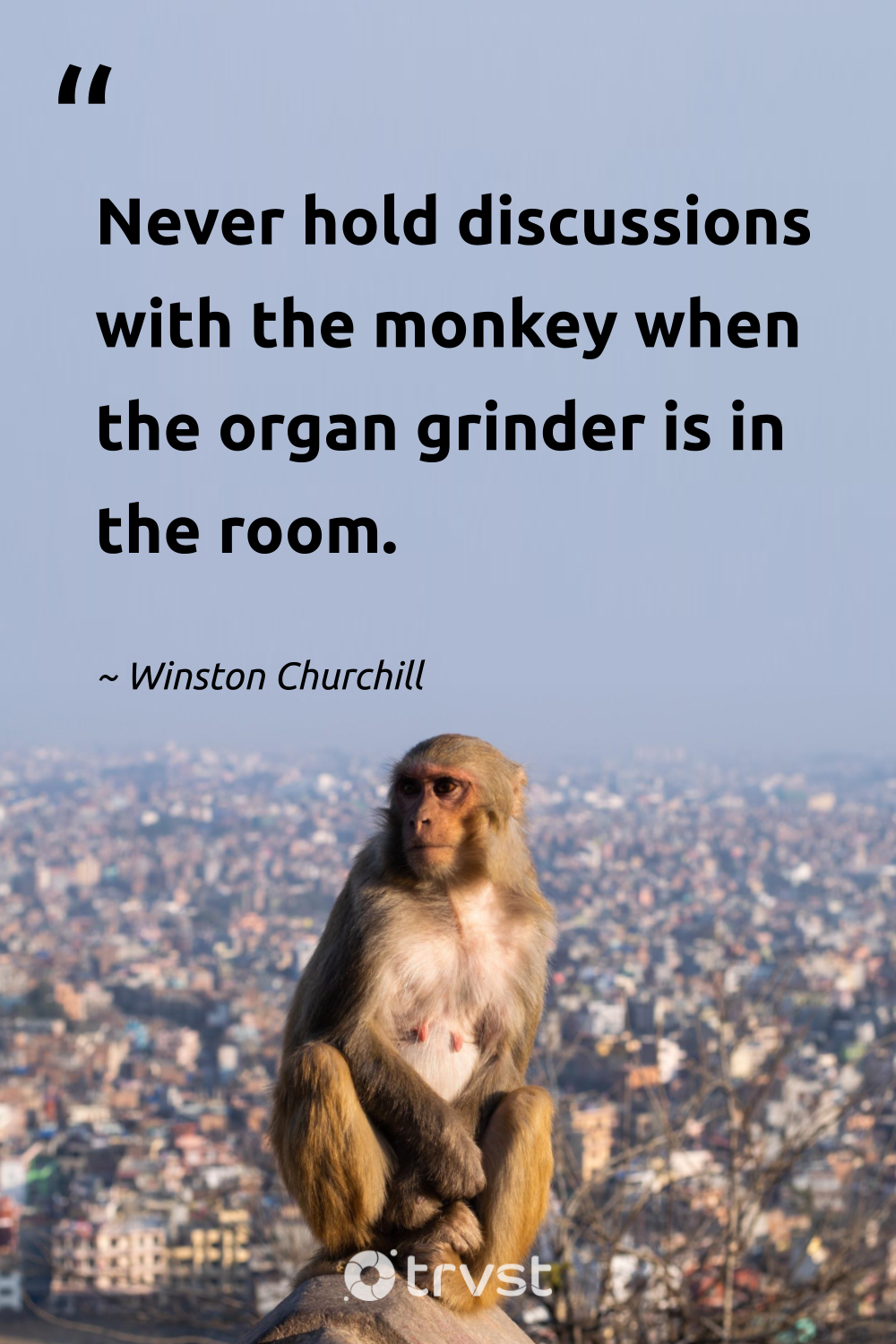 39 Monkey Quotes Full Of Primate Wisdom