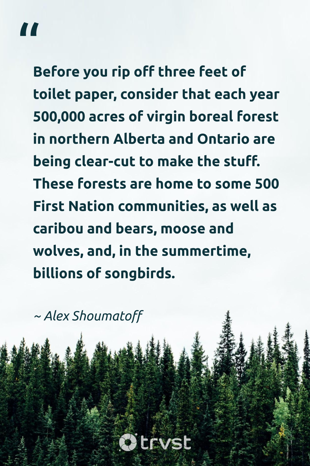 25 Moose Quotes About The Graceful Giant Of The North