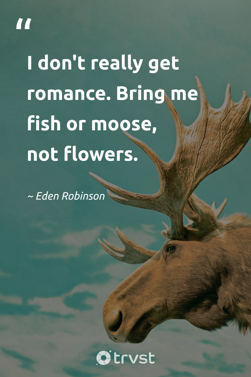 25 Moose Quotes About The Graceful Giant Of The North