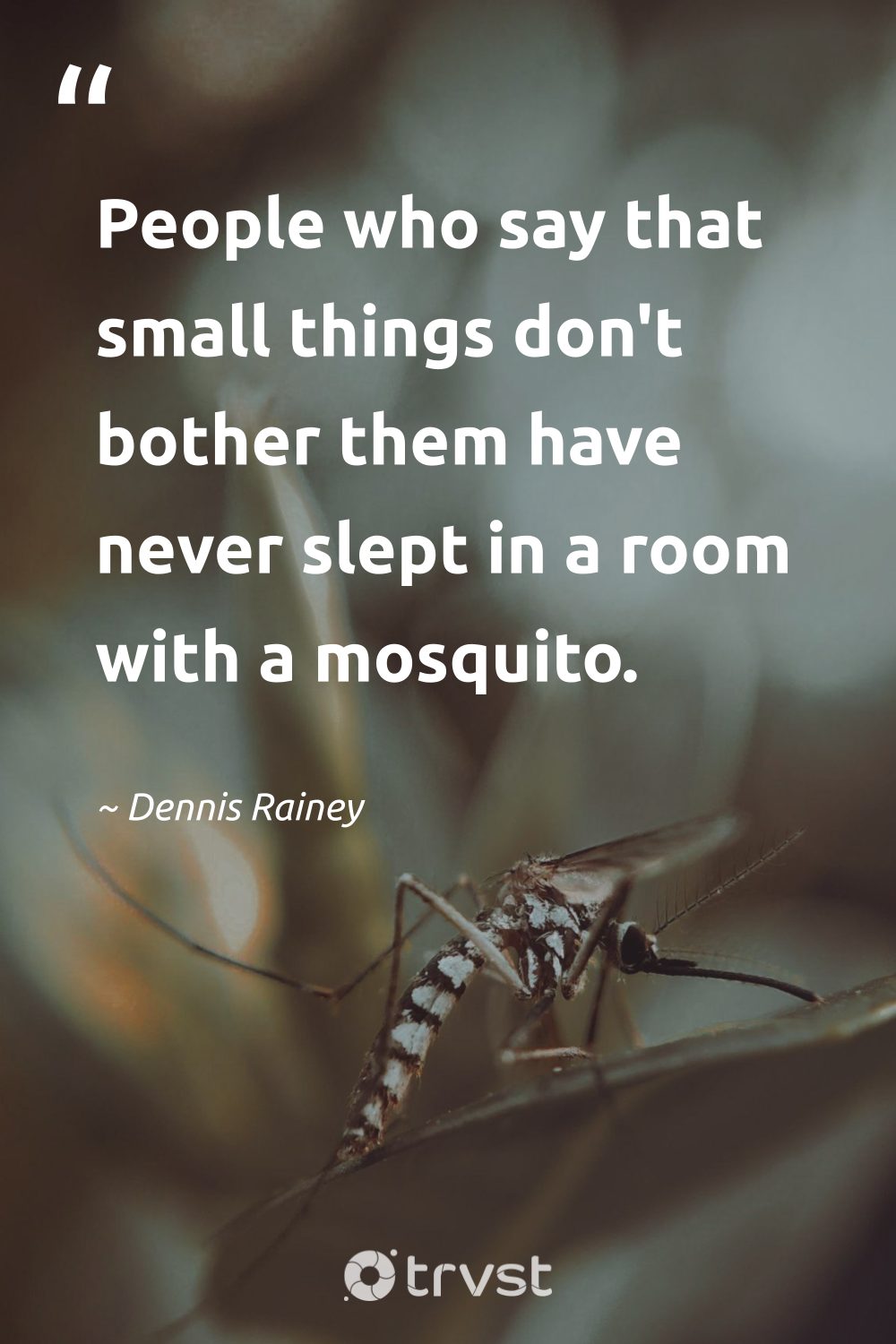 25 Mosquito Quotes About The Infamous Insects
