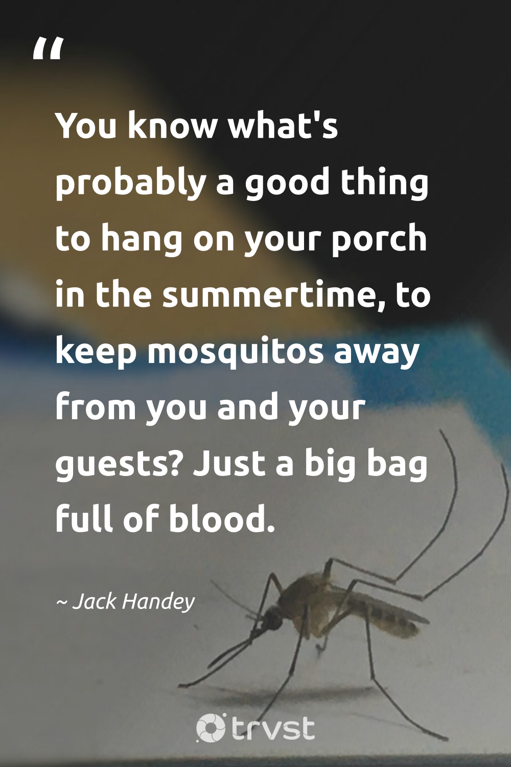 25 Mosquito Quotes About The Infamous Insects