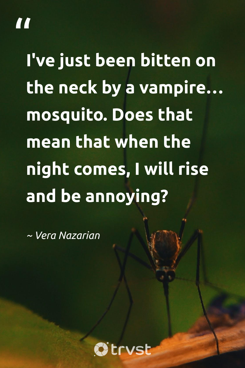 25 Mosquito Quotes About The Infamous Insects