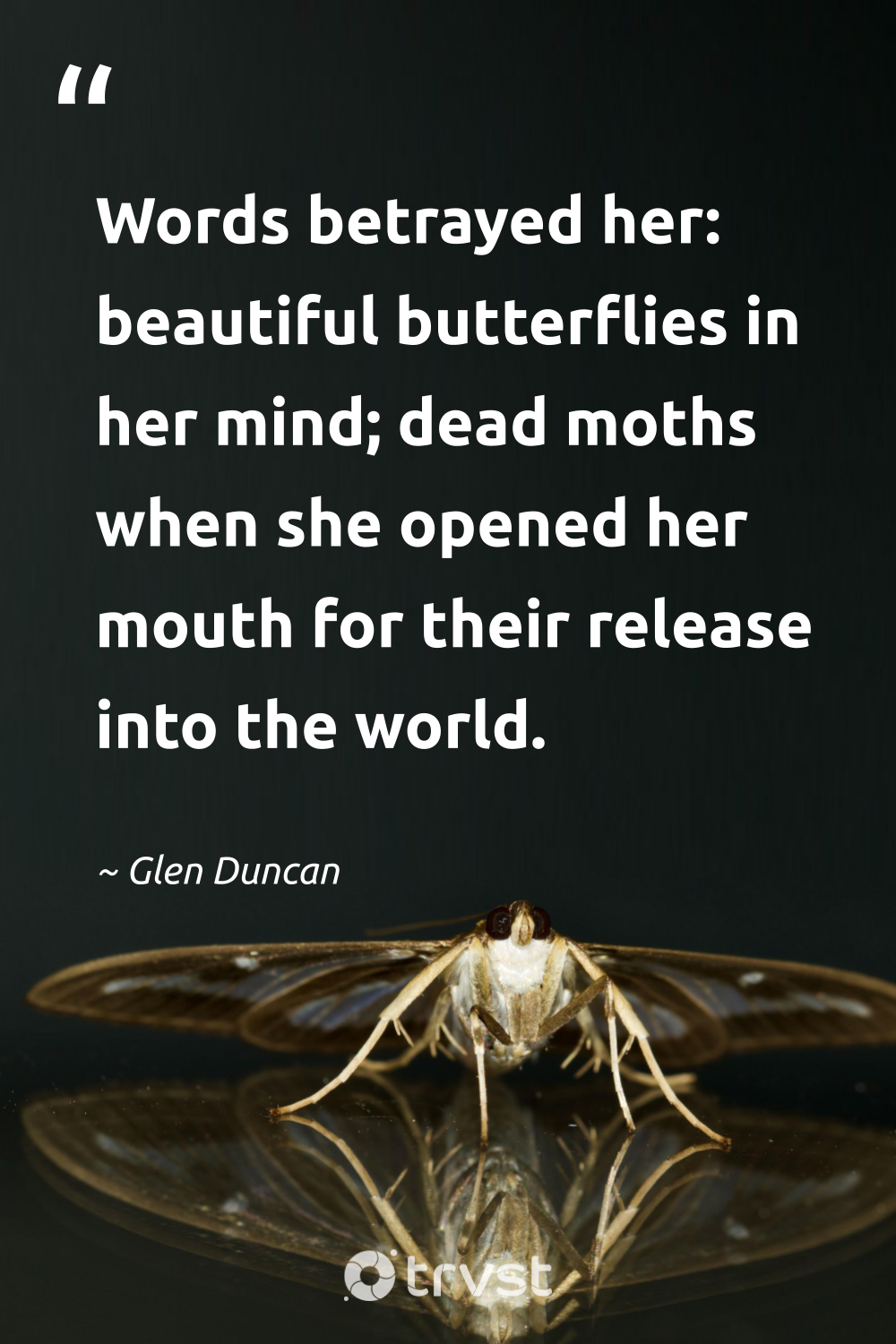 20 Fascinating Moth Quotes about the Nocturnal Insects