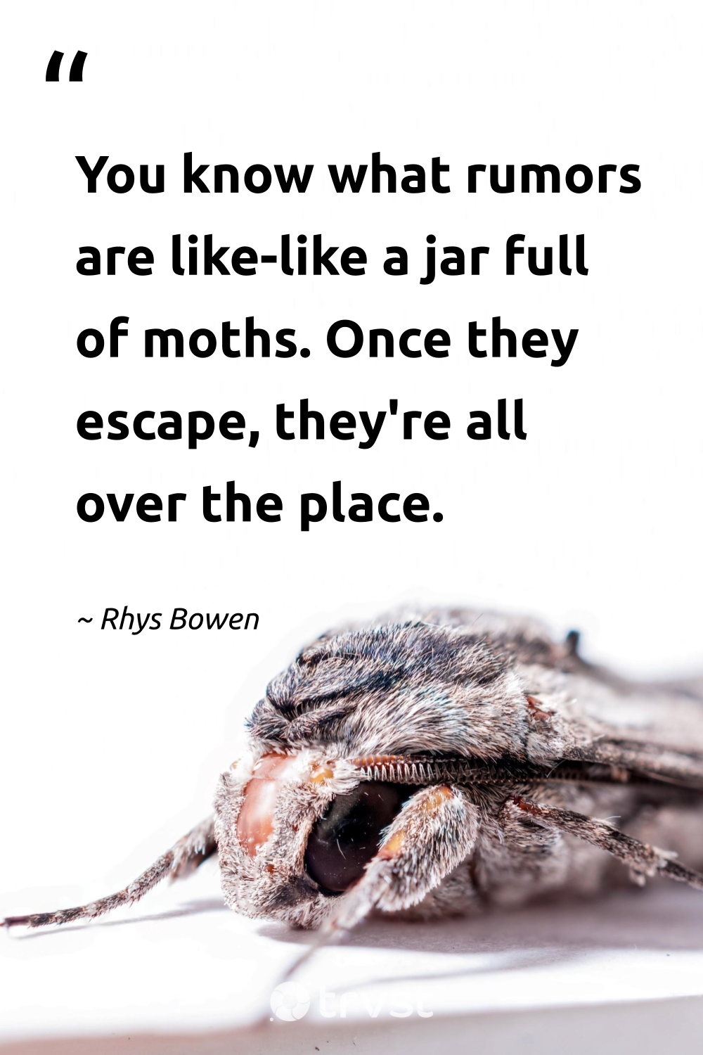 20 Fascinating Moth Quotes about the Nocturnal Insects