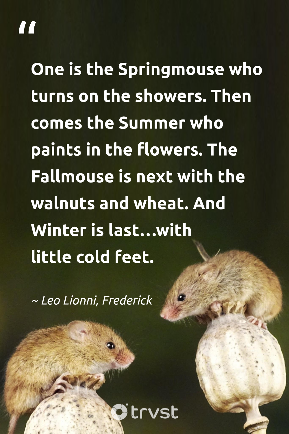 20 Mouse Quotes Full Of Little Lessons In Life