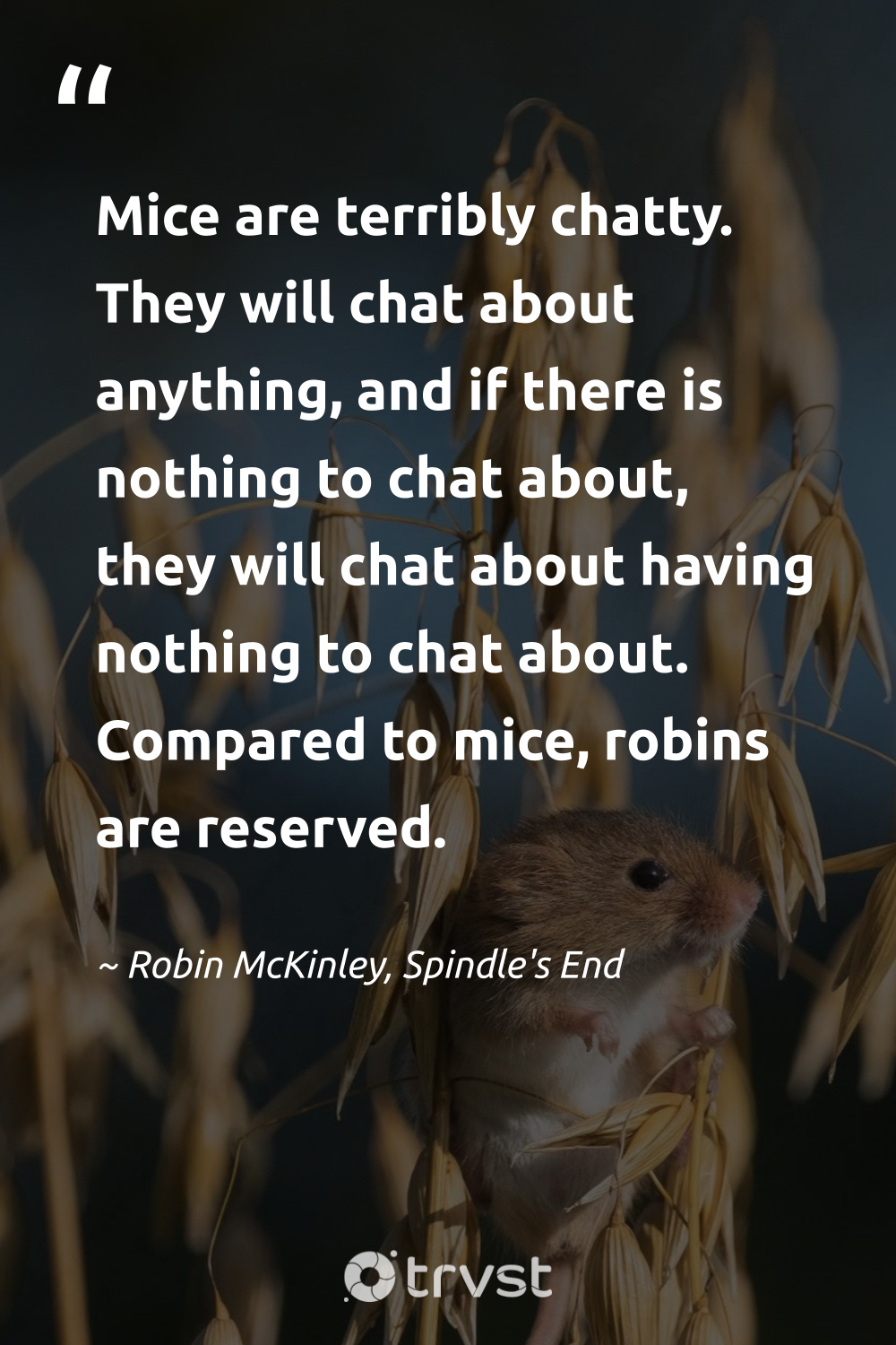 20 Mouse Quotes Full Of Little Lessons In Life