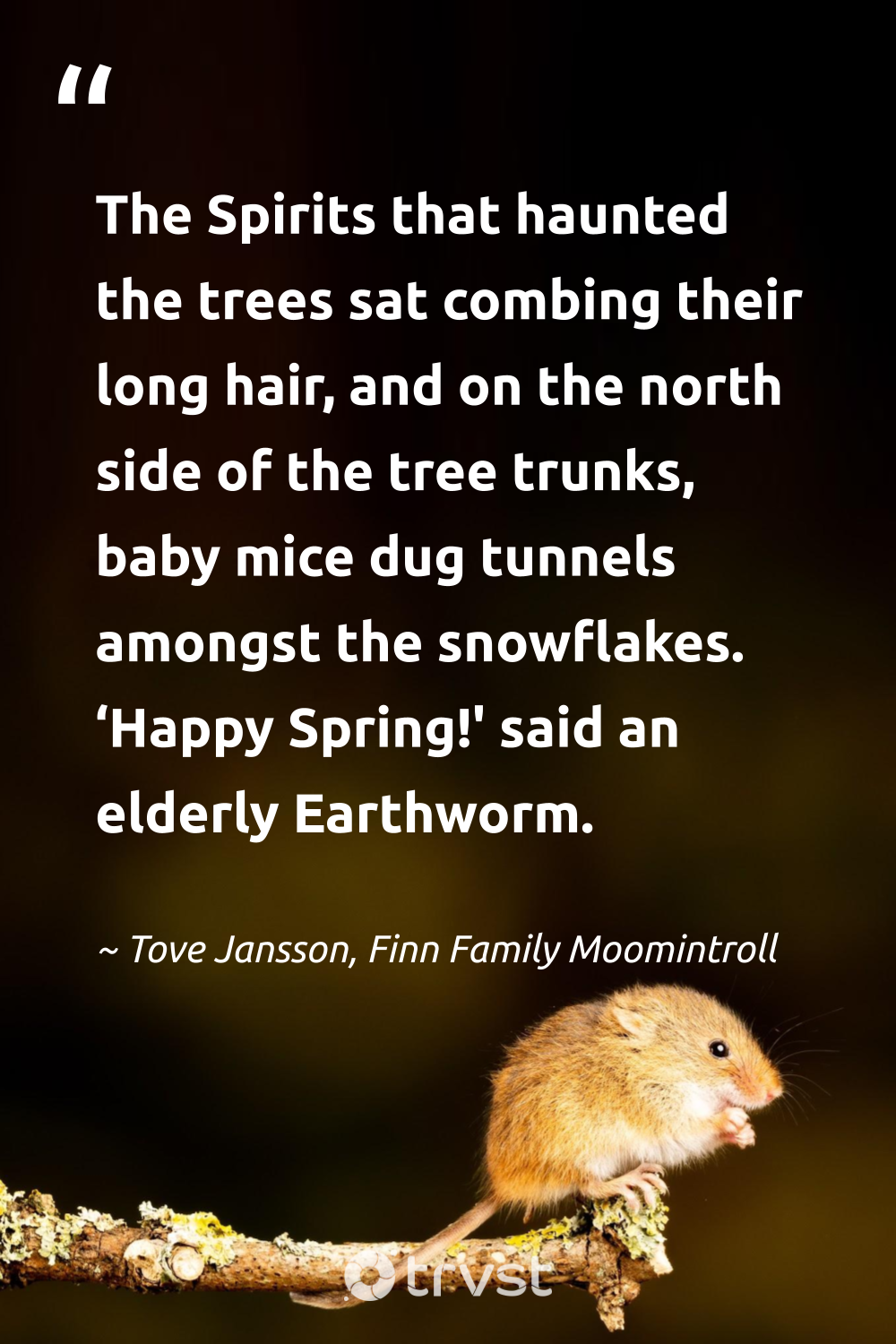 20 Mouse Quotes Full Of Little Lessons In Life