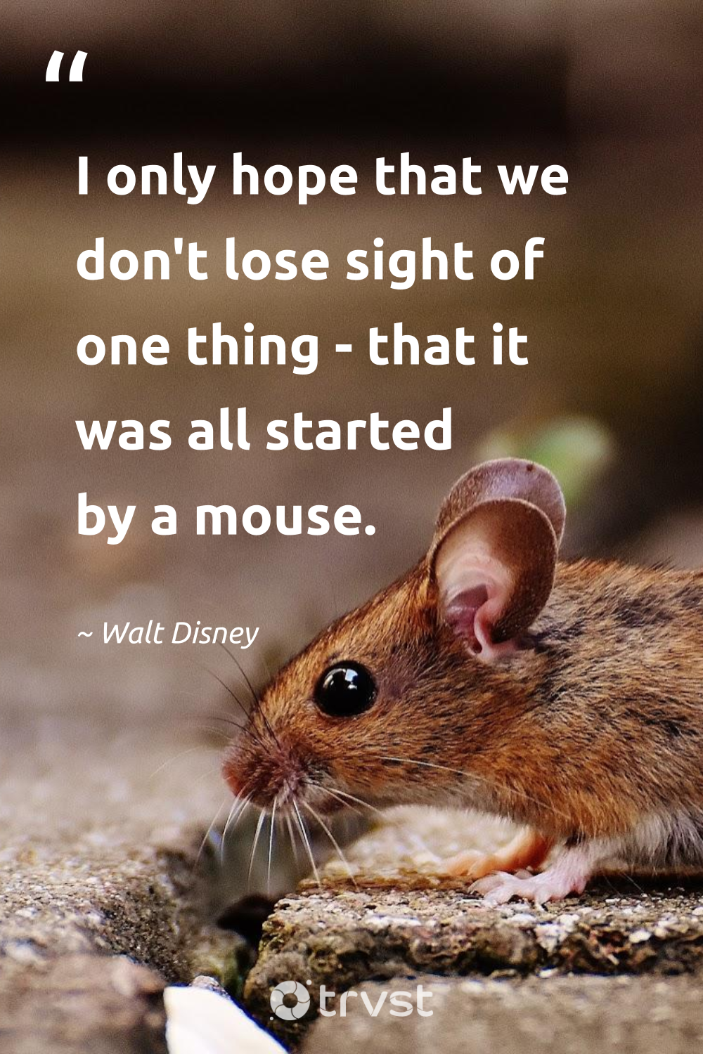 20 Mouse Quotes Full Of Little Lessons In Life