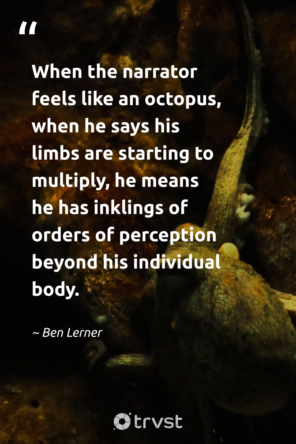 35 Octopus Quotes Talking To Intelligence and Ocean Lives (2024)