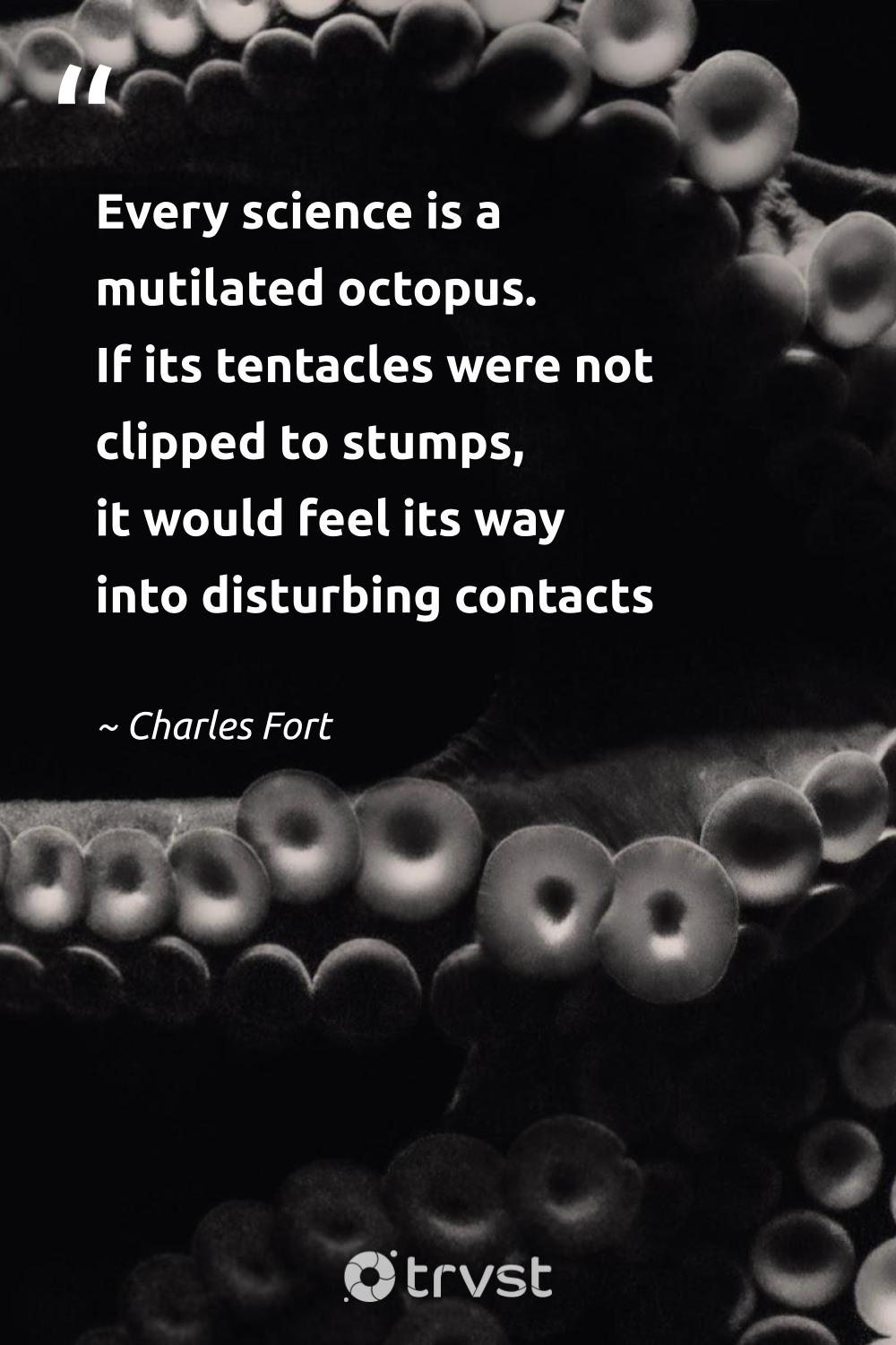 35 Octopus Quotes Talking To Intelligence and Ocean Lives (2025)