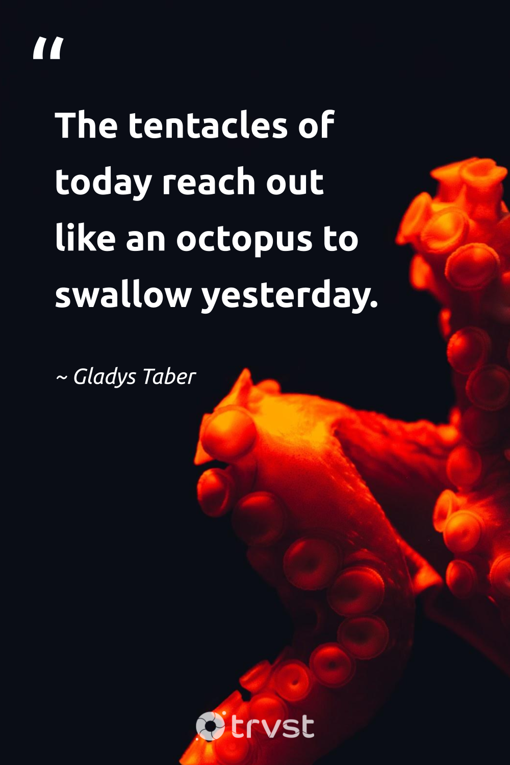 35 Octopus Quotes Talking To Intelligence and Ocean Lives (2025)