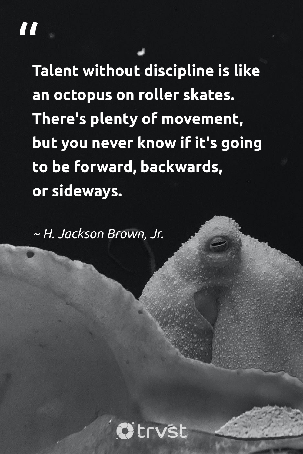 35 Octopus Quotes Talking To Intelligence and Ocean Lives (2025)