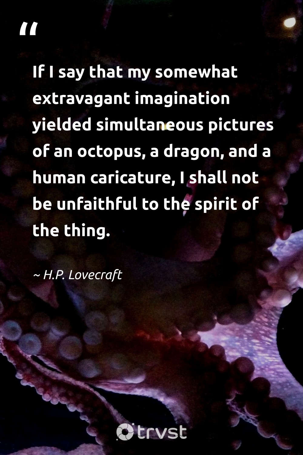 35 Octopus Quotes Talking To Intelligence and Ocean Lives (2025)