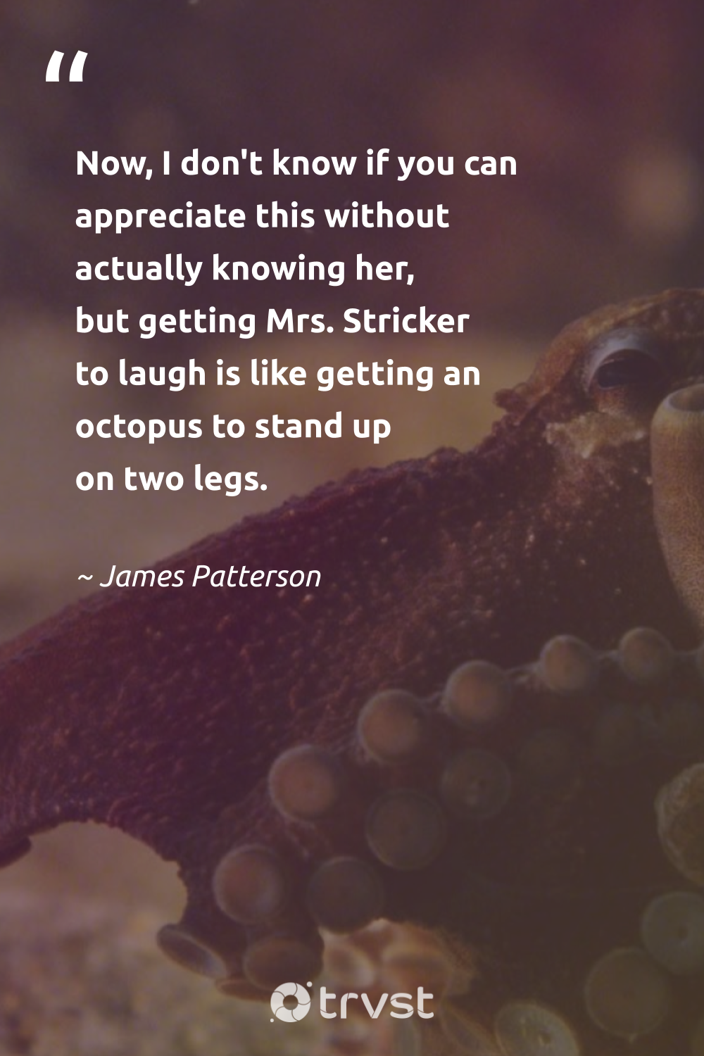 35 Octopus Quotes Talking To Intelligence and Ocean Lives (2024)