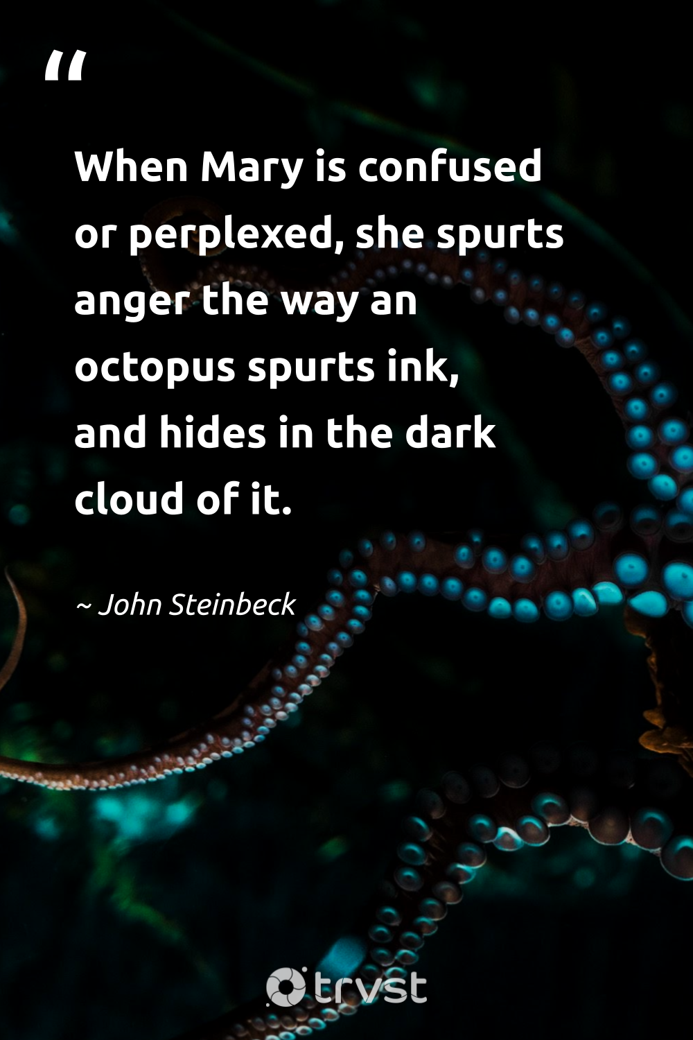 35 Octopus Quotes Talking To Intelligence and Ocean Lives (2025)