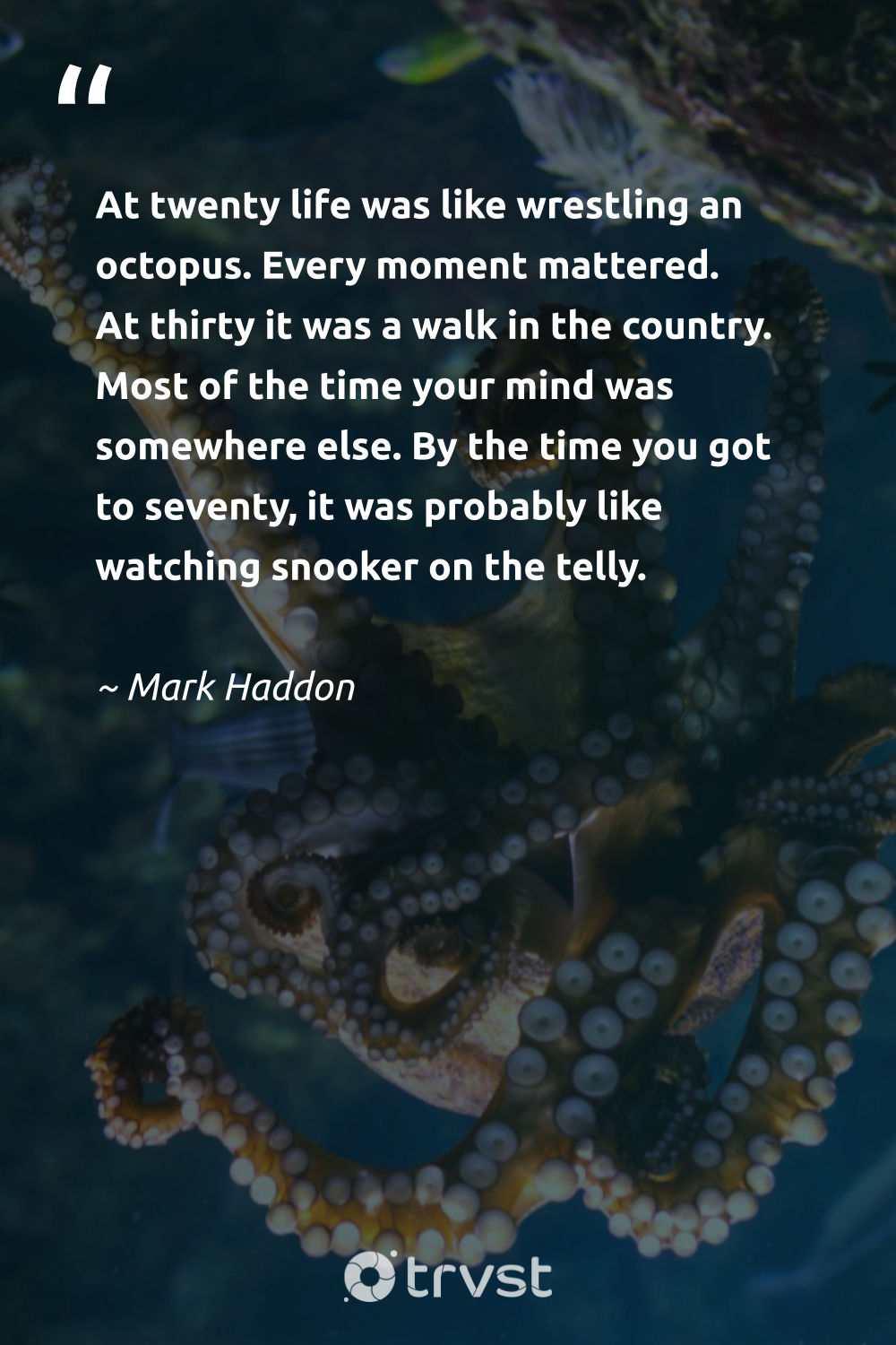 35 Octopus Quotes Talking To Intelligence and Ocean Lives (2024)