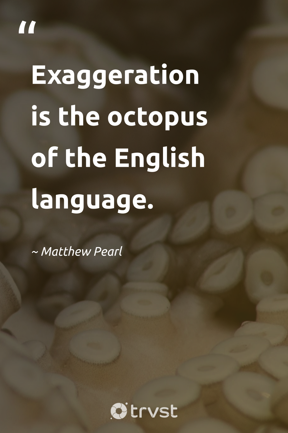 35 Octopus Quotes Talking To Intelligence and Ocean Lives (2025)