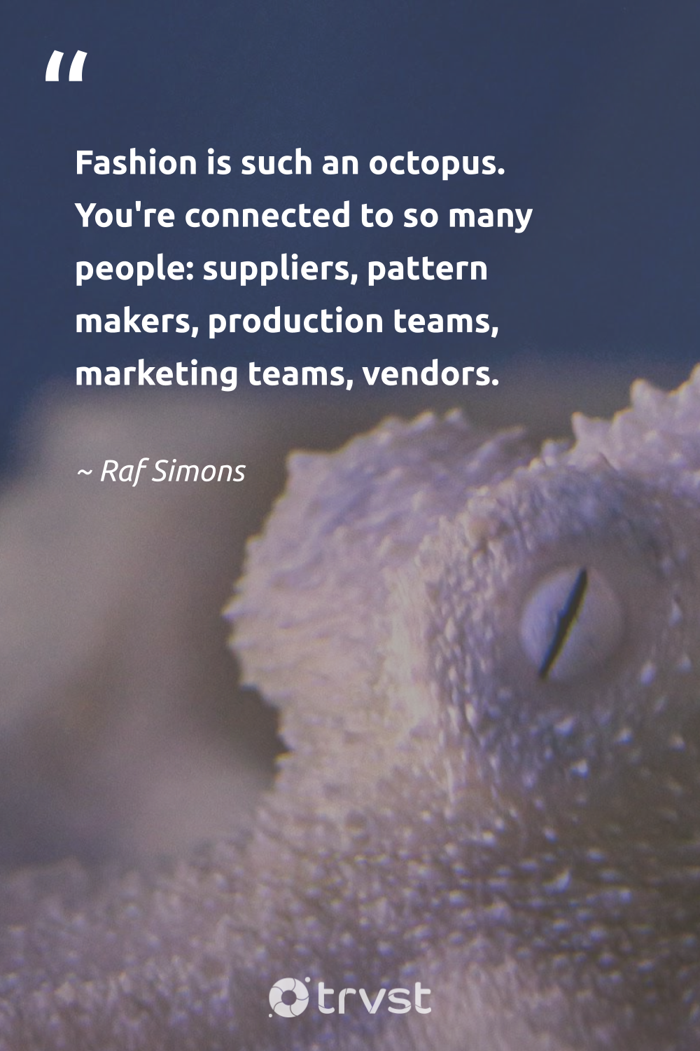 35 Octopus Quotes Talking To Intelligence and Ocean Lives (2025)