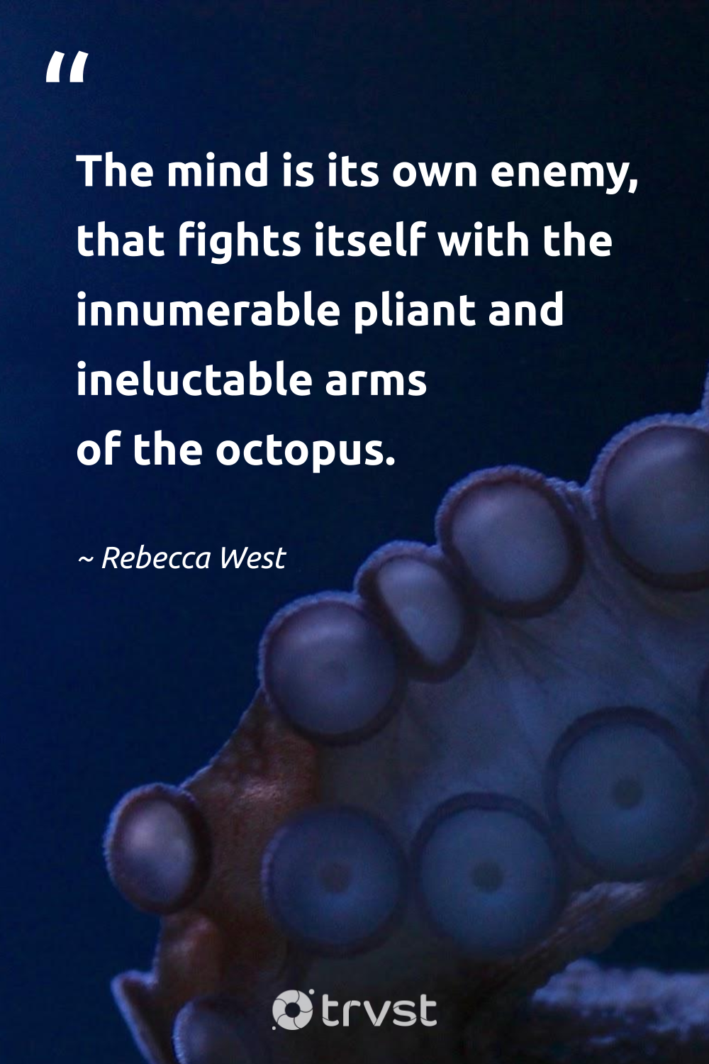 35 Octopus Quotes Talking To Intelligence and Ocean Lives (2025)