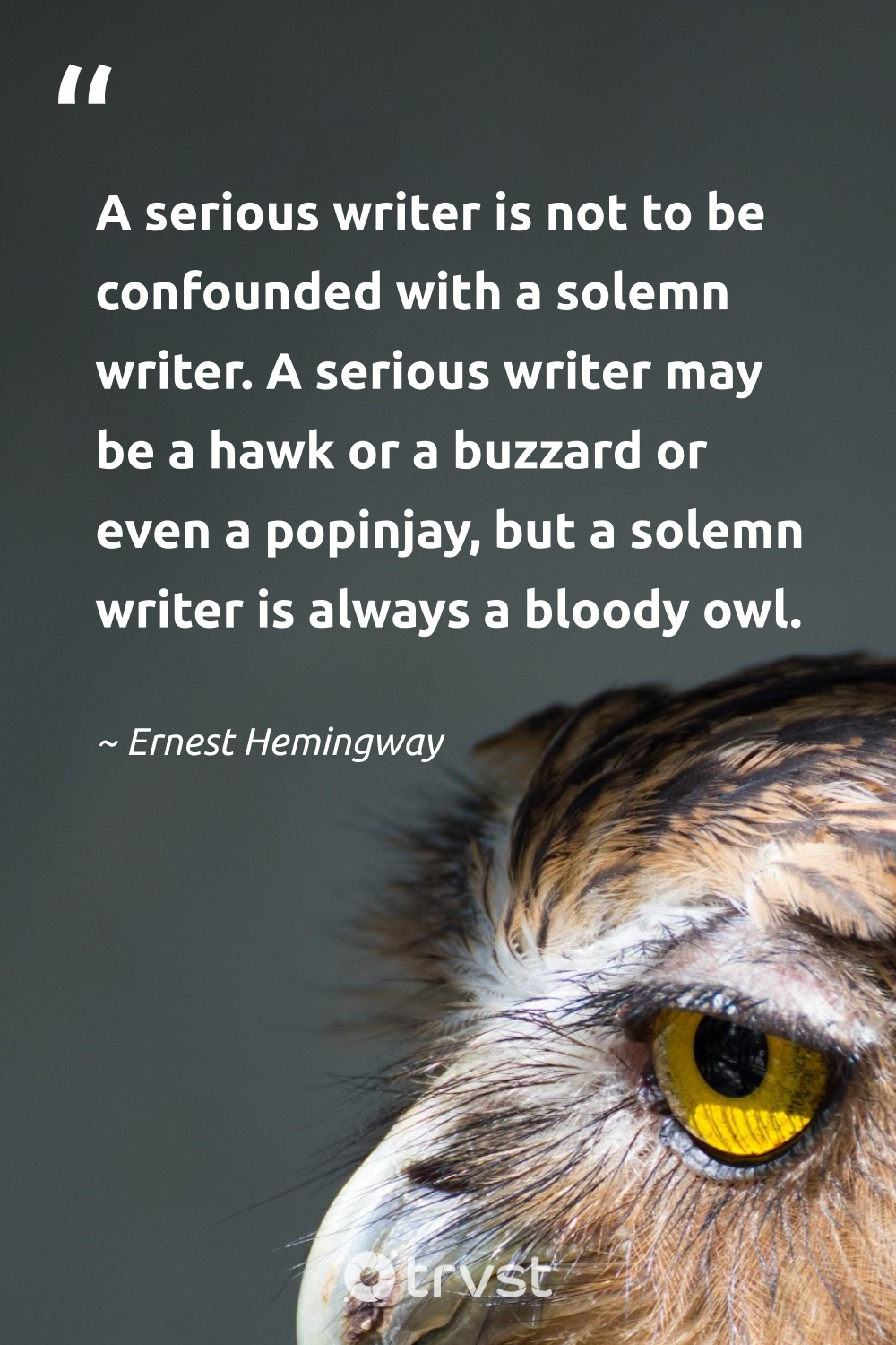 43 Owl Quotes, Captions, and Sayings to Make You Wiser