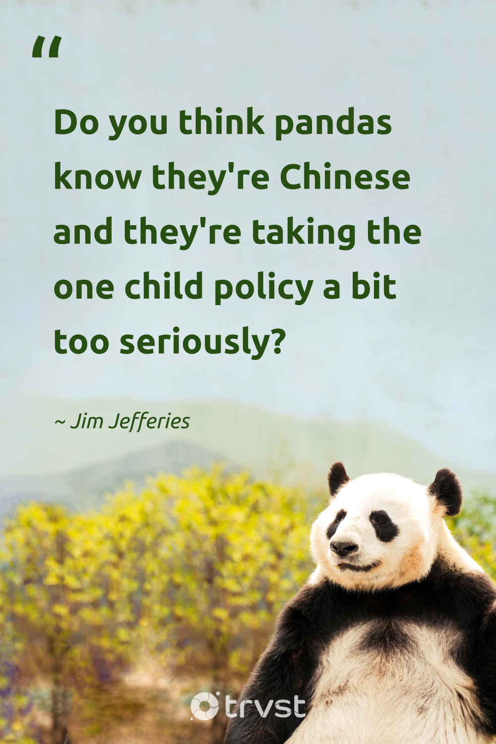 20 Panda Quotes About The Adorable Bear of China & Film (2024)