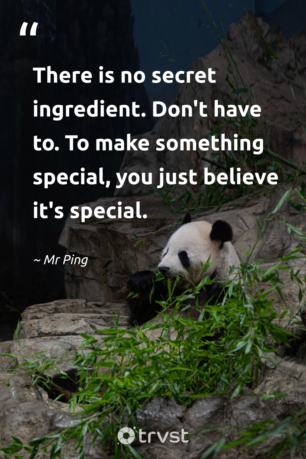 20 Panda Quotes About The Adorable Bear of China & Film (2024)
