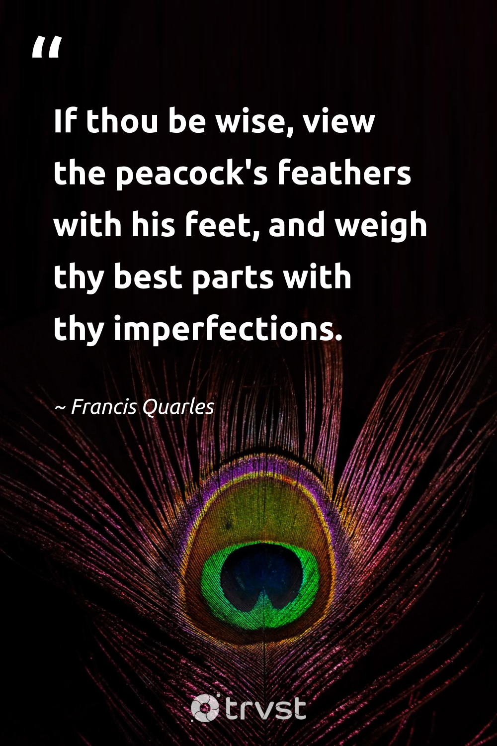 30 Peacock Quotes to Inspire Beauty and Confidence