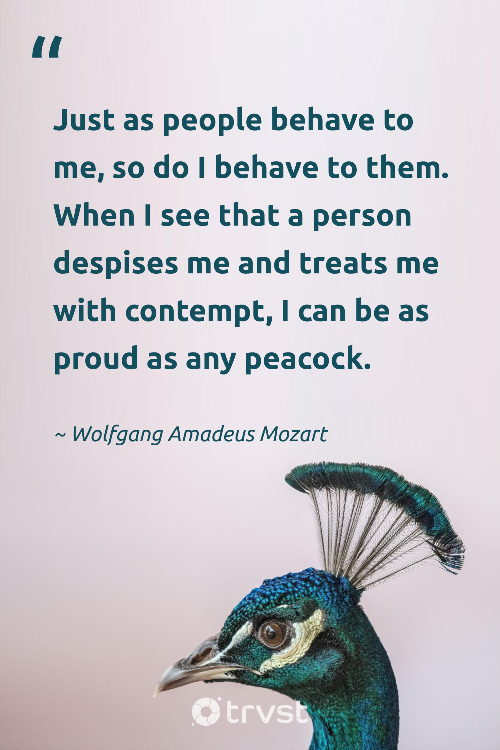 30 Peacock Quotes to Inspire Beauty and Confidence