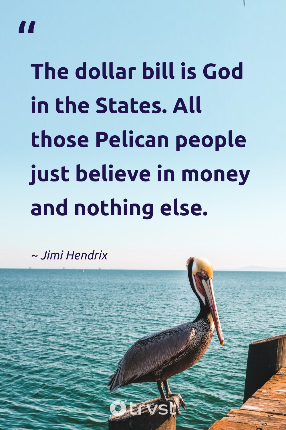 15 Pelican Quotes Taking Flight With Wisdom