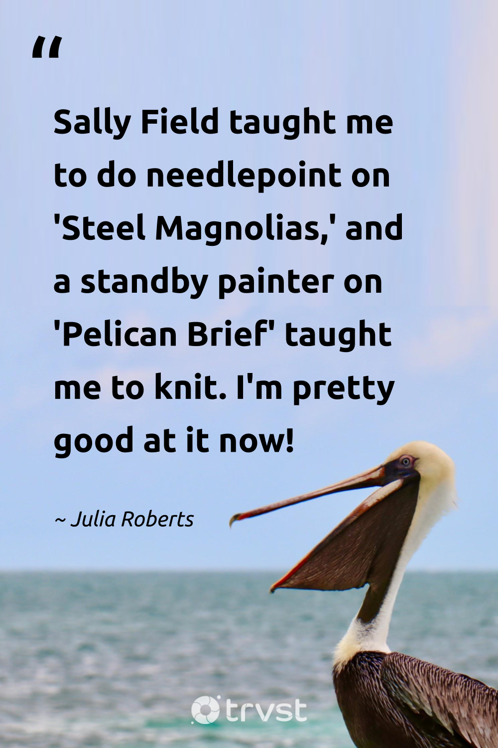 15 Pelican Quotes Taking Flight With Wisdom