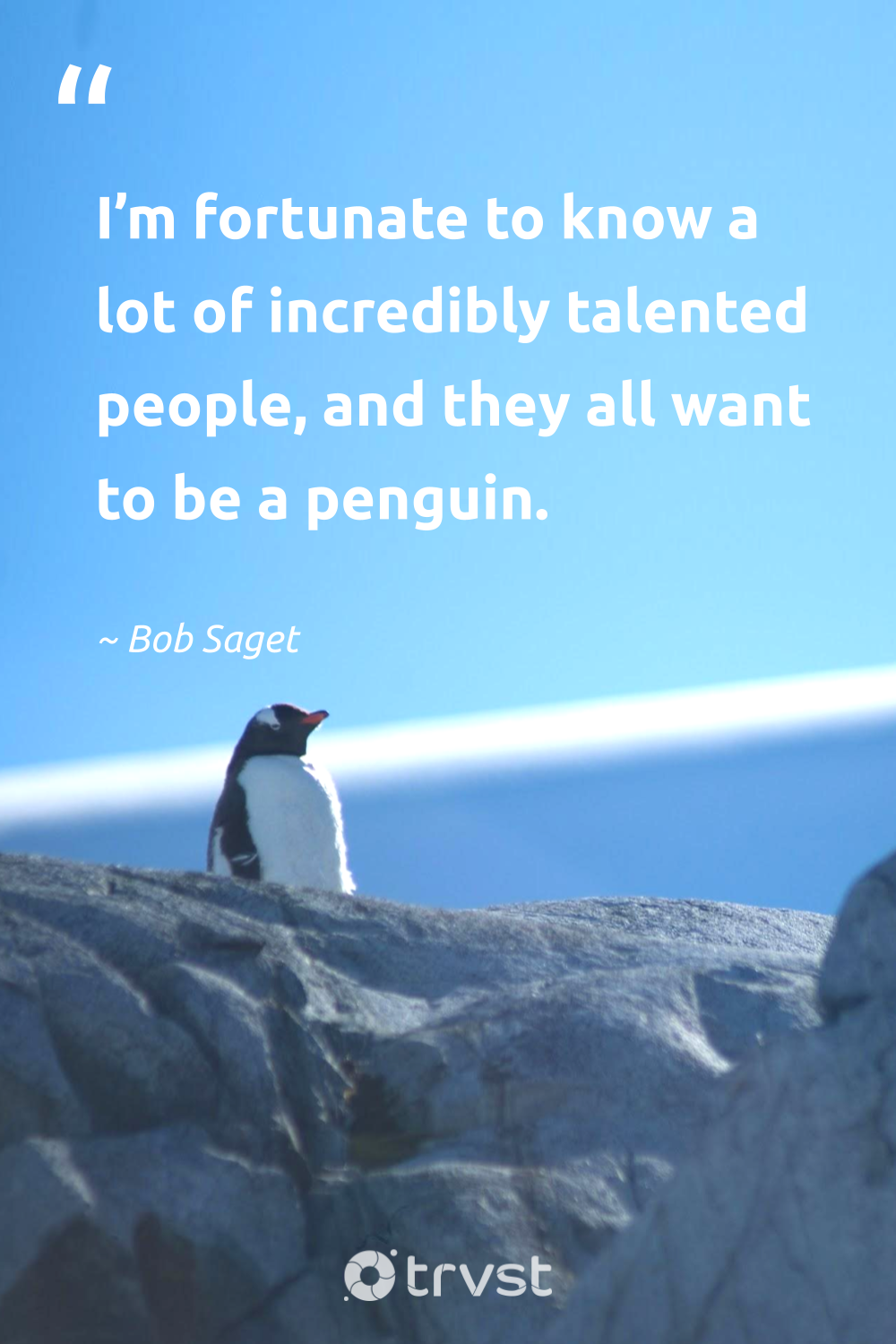 27 Penguin Quotes about the Monogamous Waddling Bird
