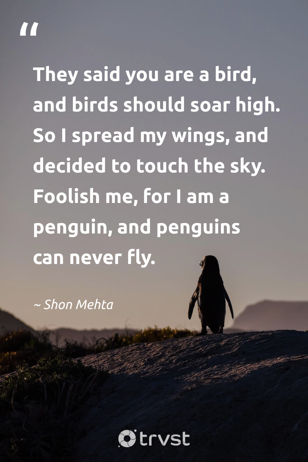 27 Penguin Quotes about the Monogamous Waddling Bird