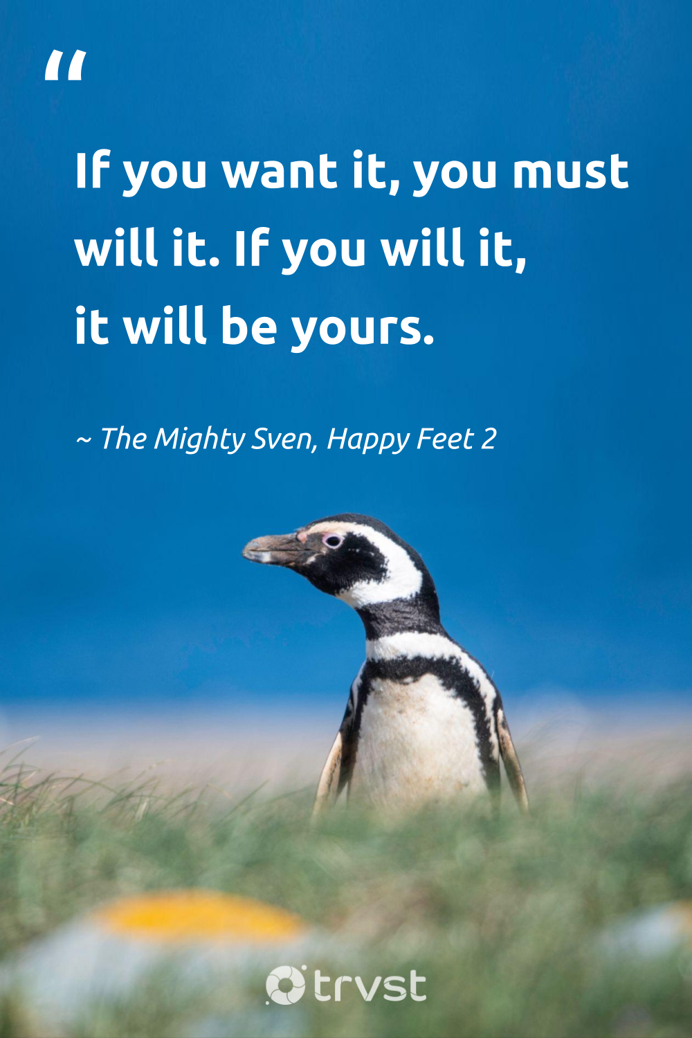 27 Penguin Quotes about the Monogamous Waddling Bird