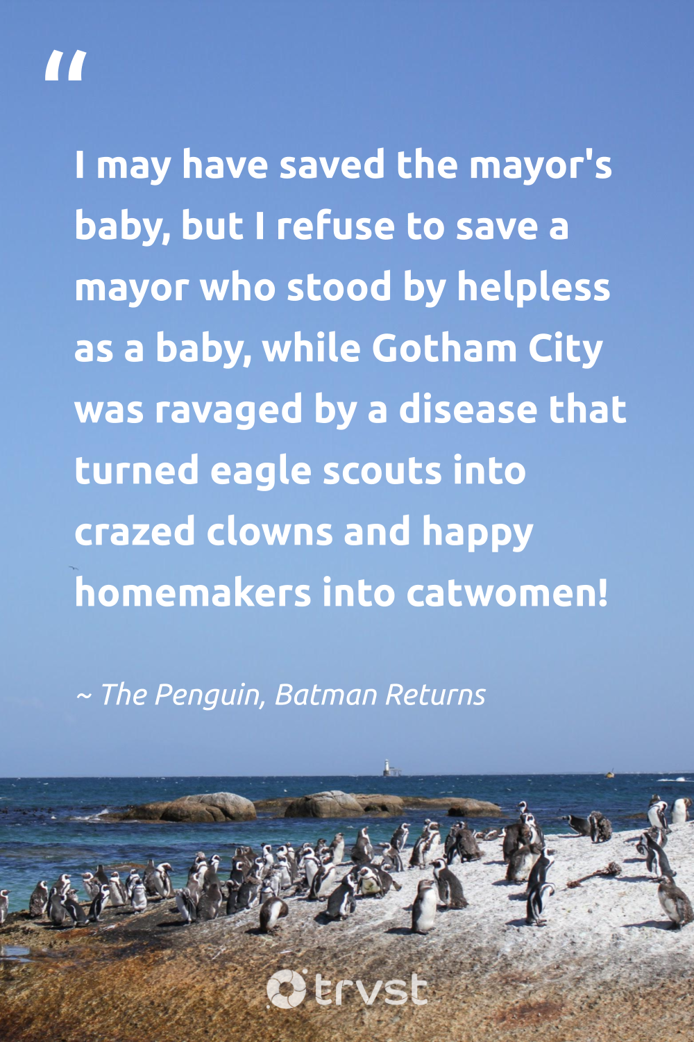 27 Penguin Quotes about the Monogamous Waddling Bird