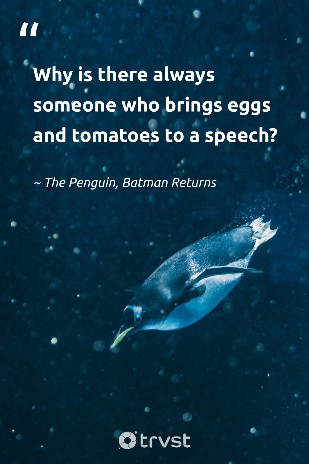 27 Penguin Quotes about the Monogamous Waddling Bird