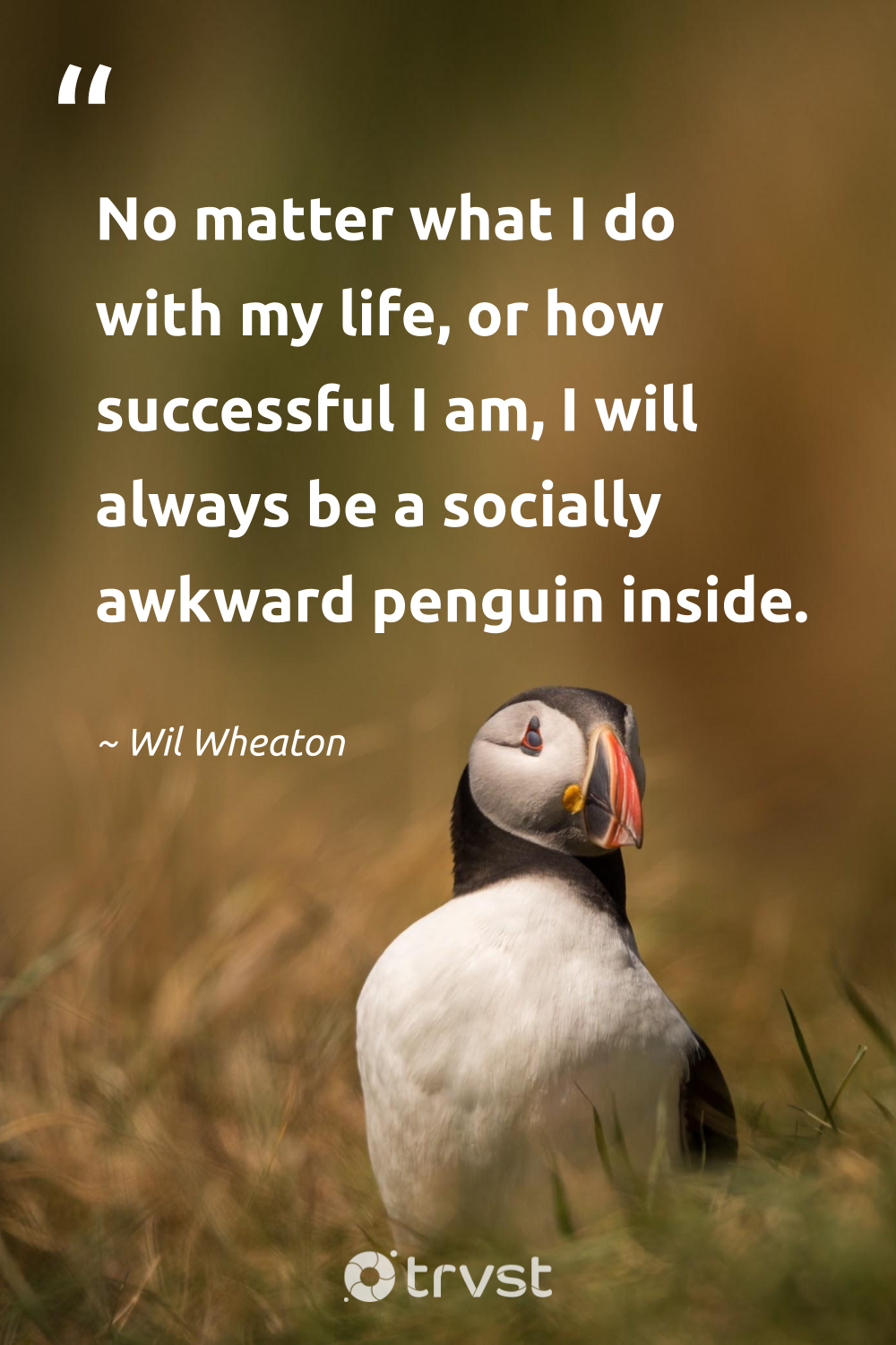 27 Penguin Quotes about the Monogamous Waddling Bird