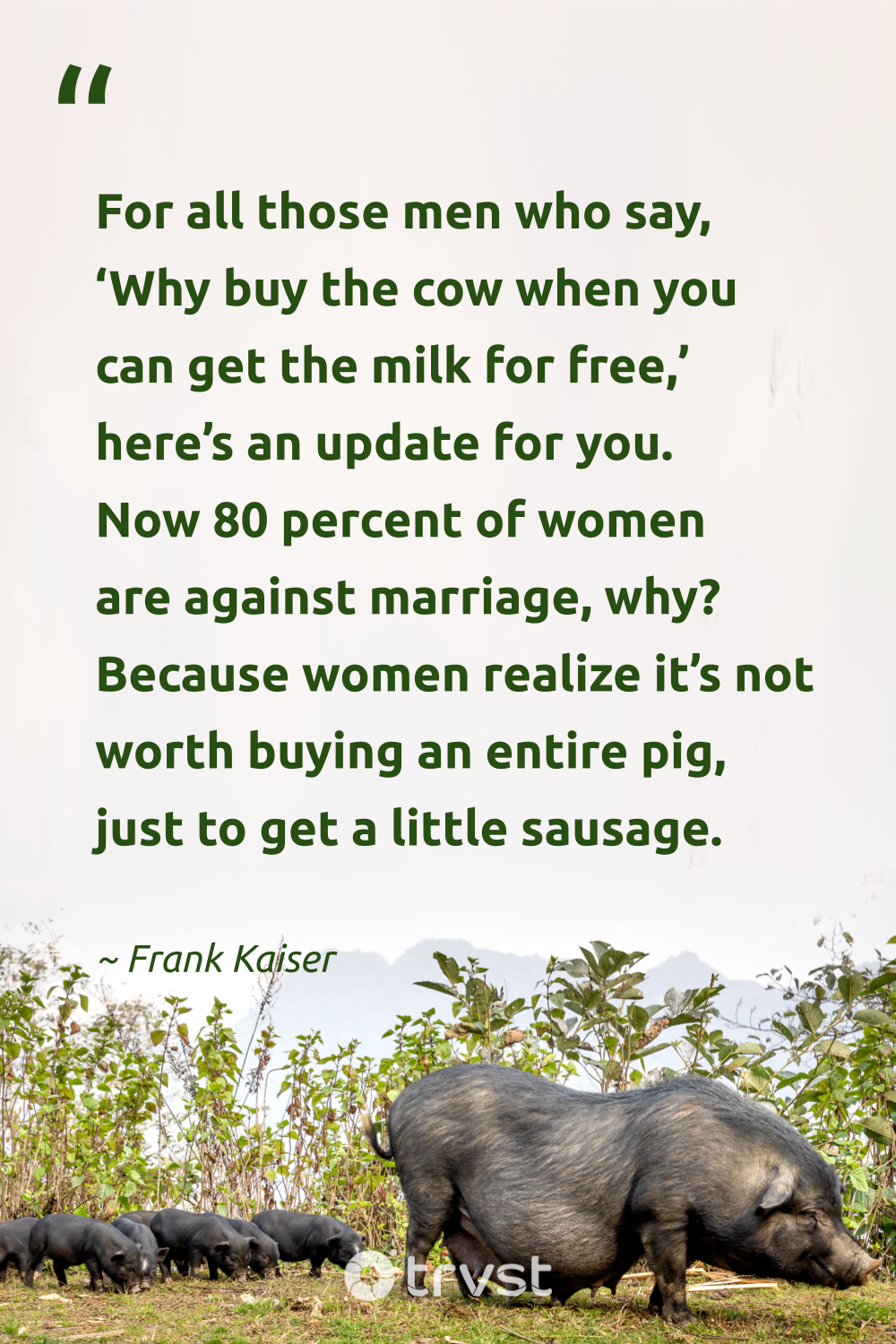 25 Pig Quotes to Adore the Lovable Swine (2025)