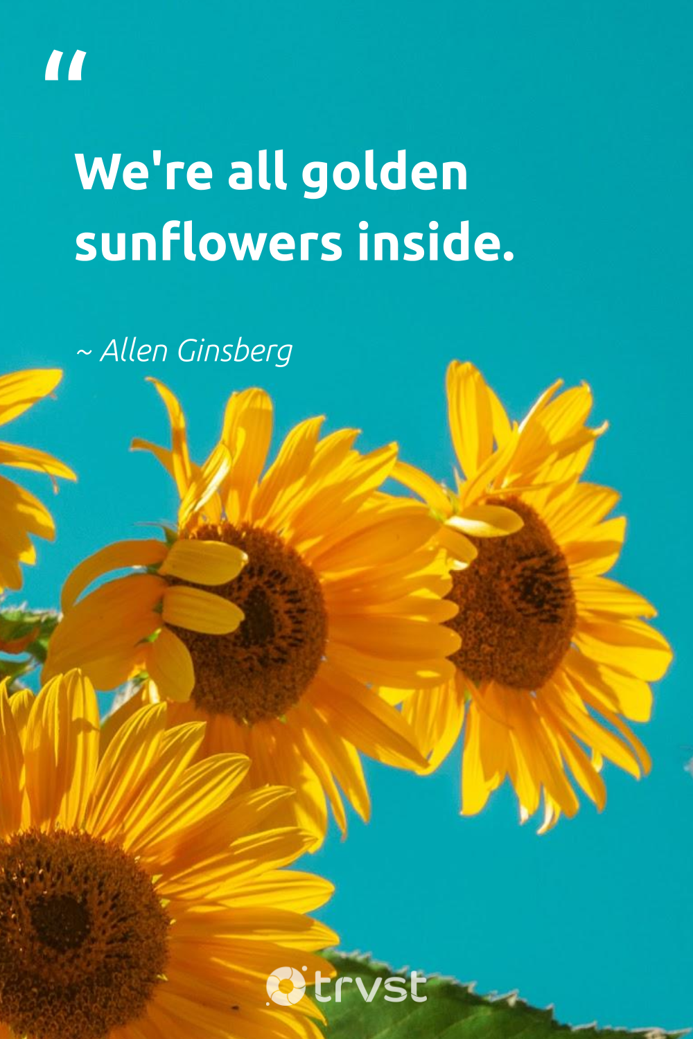 76 Sunflower Quotes to Brighten Up and Warm Your Day (2025)