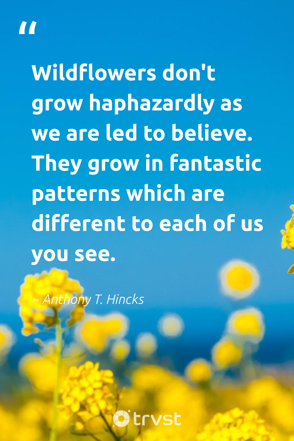 53 Wildflower Quotes to Reflect on Moments of Beauty (2025)