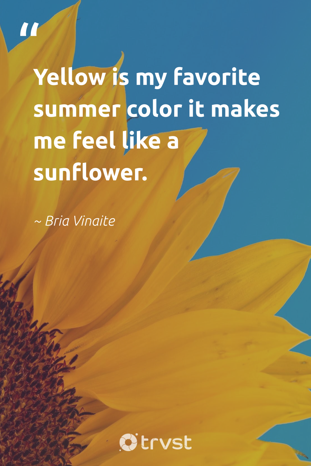 76 Sunflower Quotes to Brighten Up and Warm Your Day (2025)