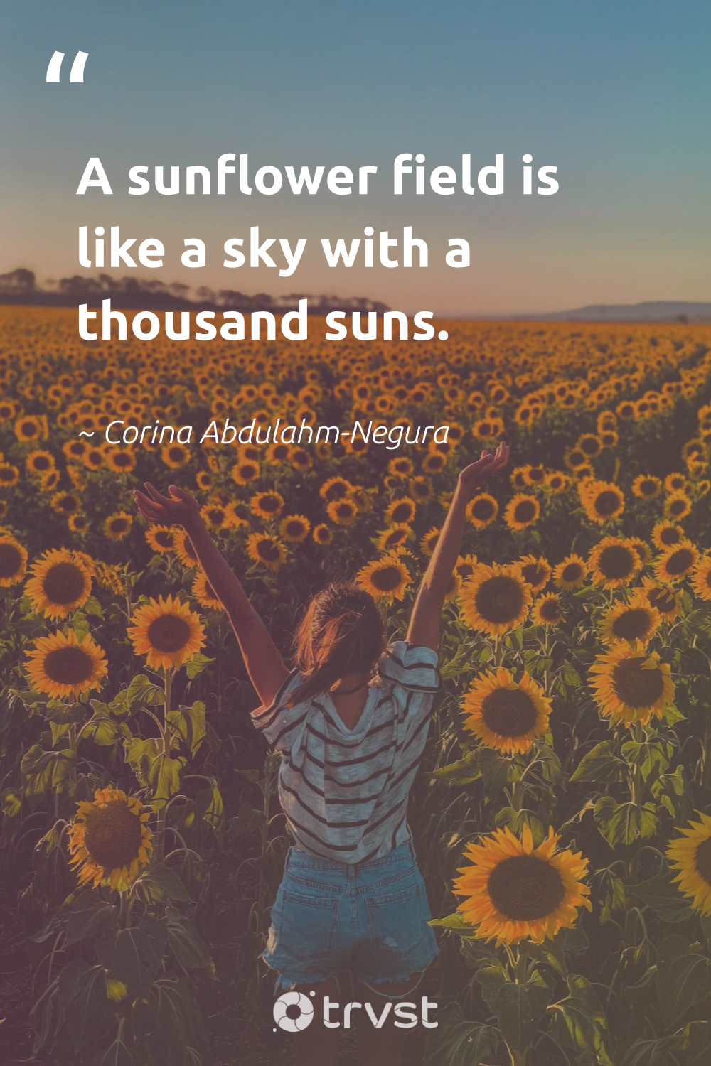 76 Sunflower Quotes to Brighten Up and Warm Your Day (2024)