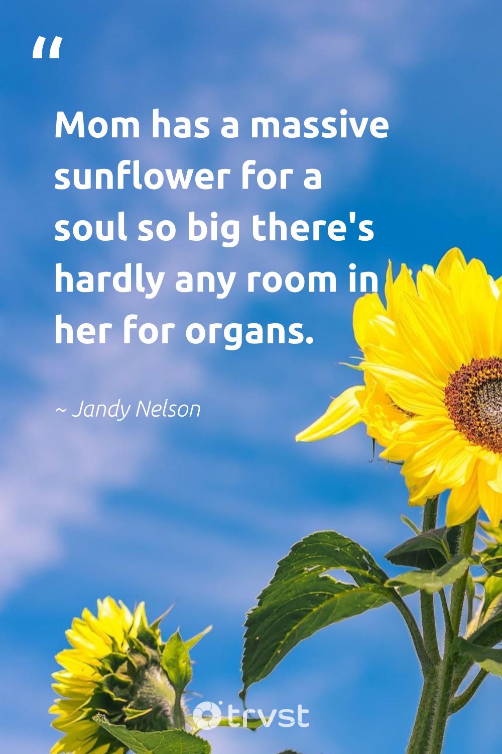76 Sunflower Quotes to Brighten Up and Warm Your Day (2025)