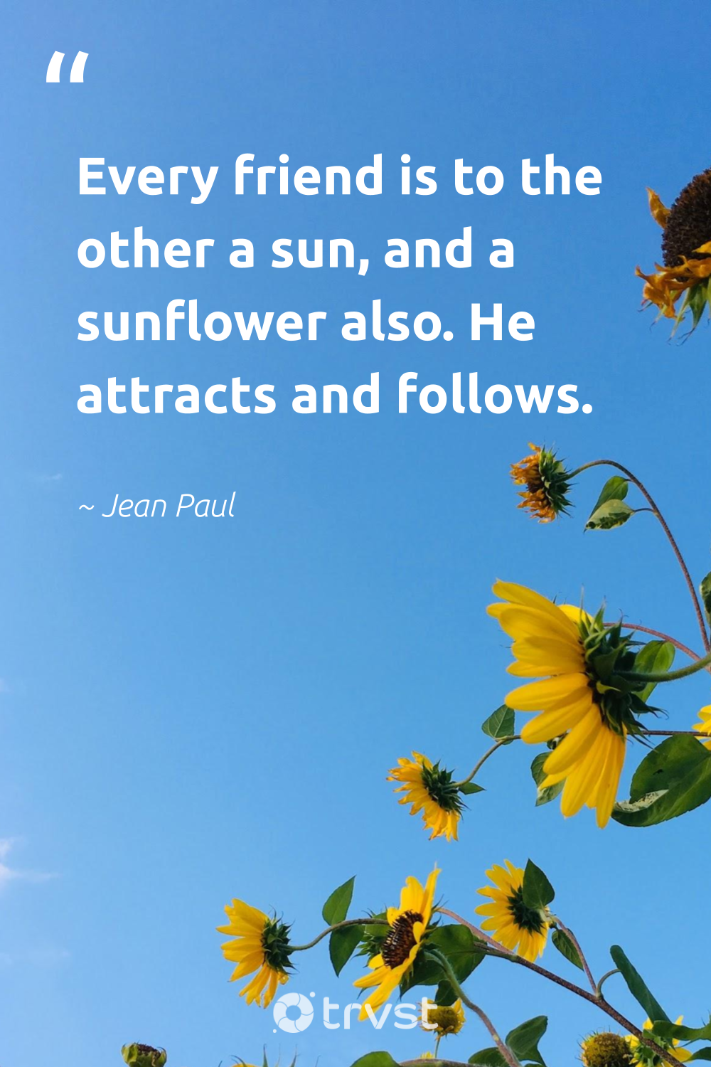 76 Sunflower Quotes to Brighten Up and Warm Your Day (2025)