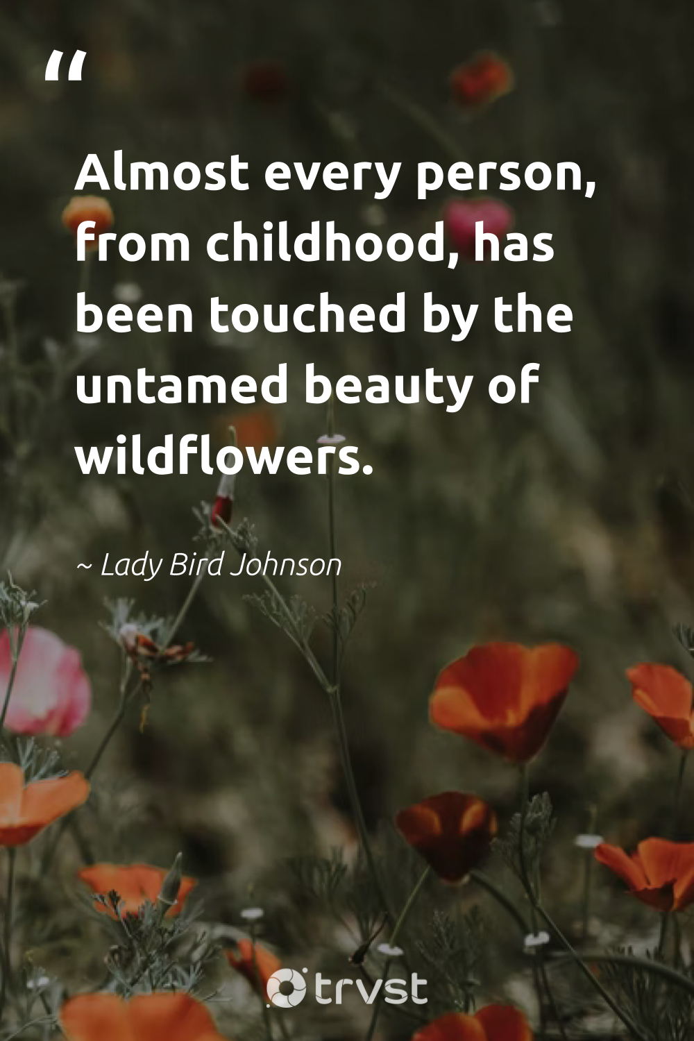 53 Wildflower Quotes to Reflect on Moments of Beauty (2025)