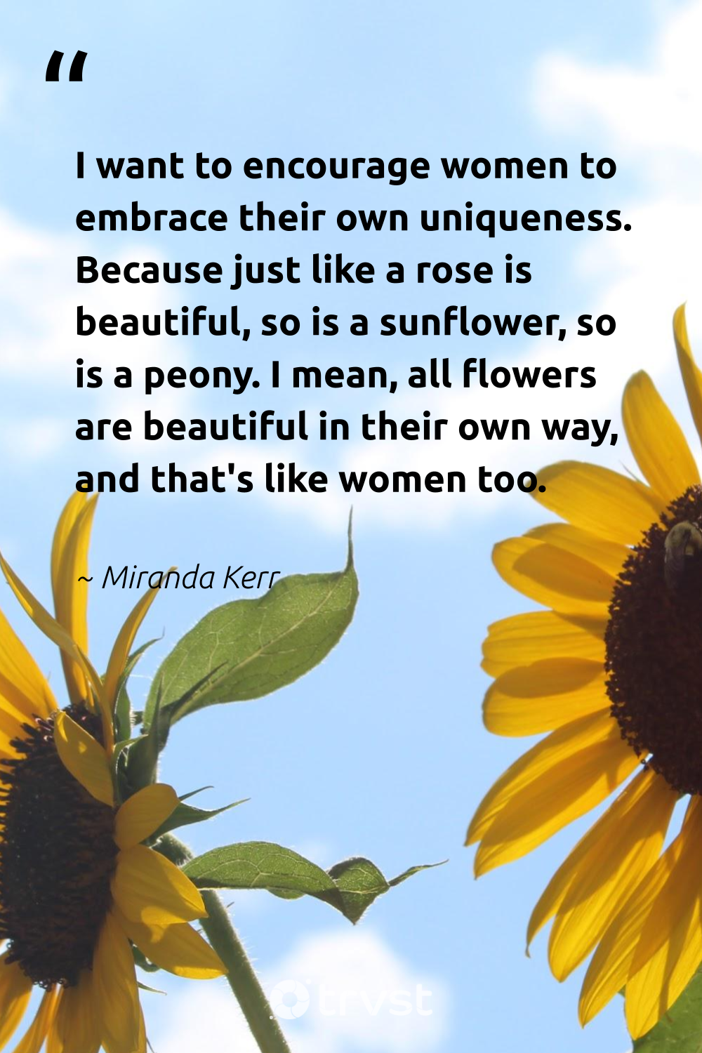 76 Sunflower Quotes to Brighten Up and Warm Your Day (2025)